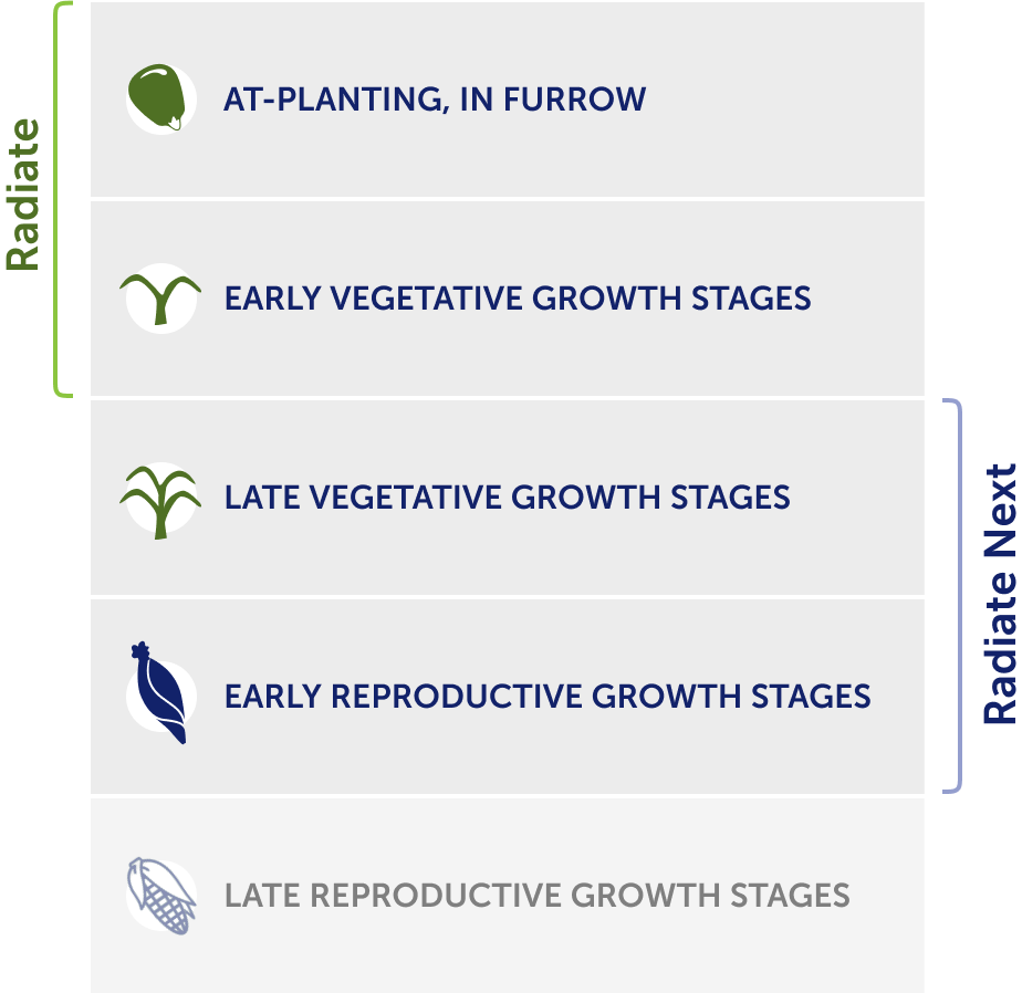 Use Radiate to grow longer, stronger, healthier roots in all crops.